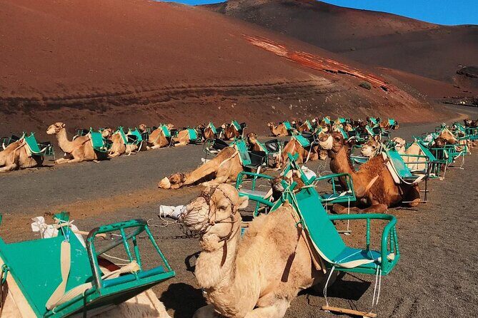 Lanzarote Grand Tour - Frequently Asked Questions