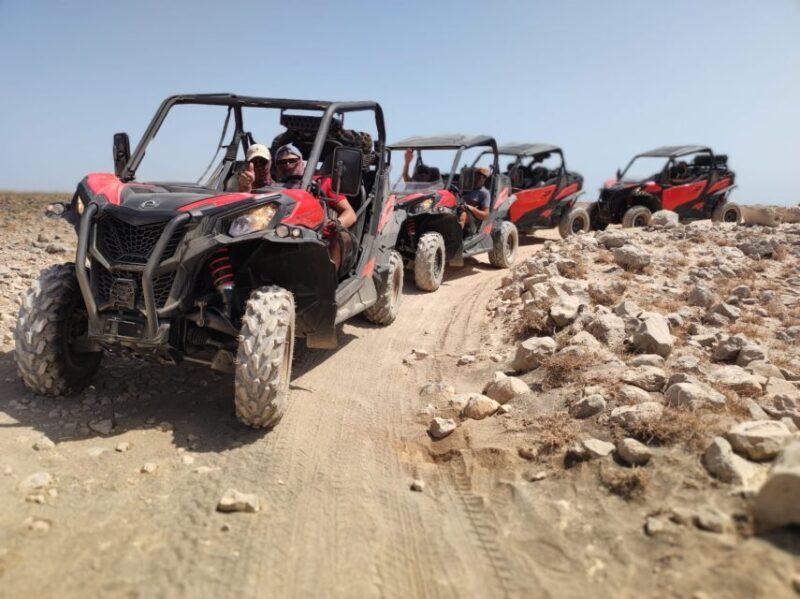 Lanzarote: Guided Can-Am Trail Buggy Tour - Practical Aspects & Value