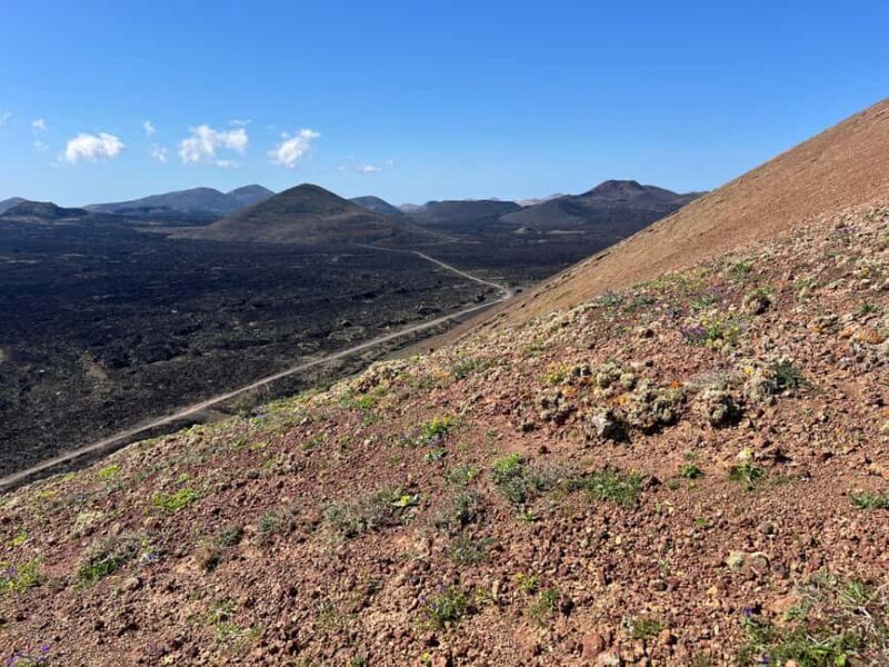 Lanzarote: Guided Hike discover volcano history and culture - The Itinerary and Landscape