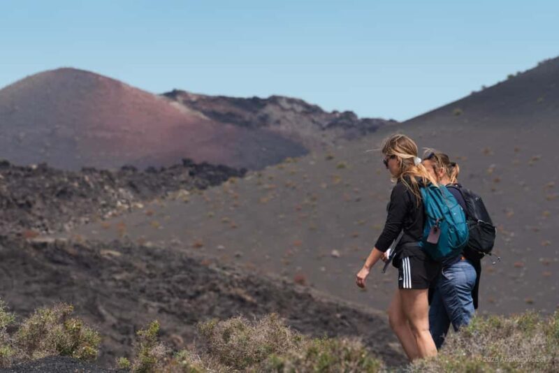 Lanzarote: Guided Hike discover volcano history and culture - Flora and Fauna Insights