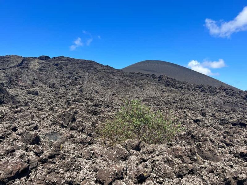 Lanzarote: Guided Hike discover volcano history and culture - Practical Details and Experience