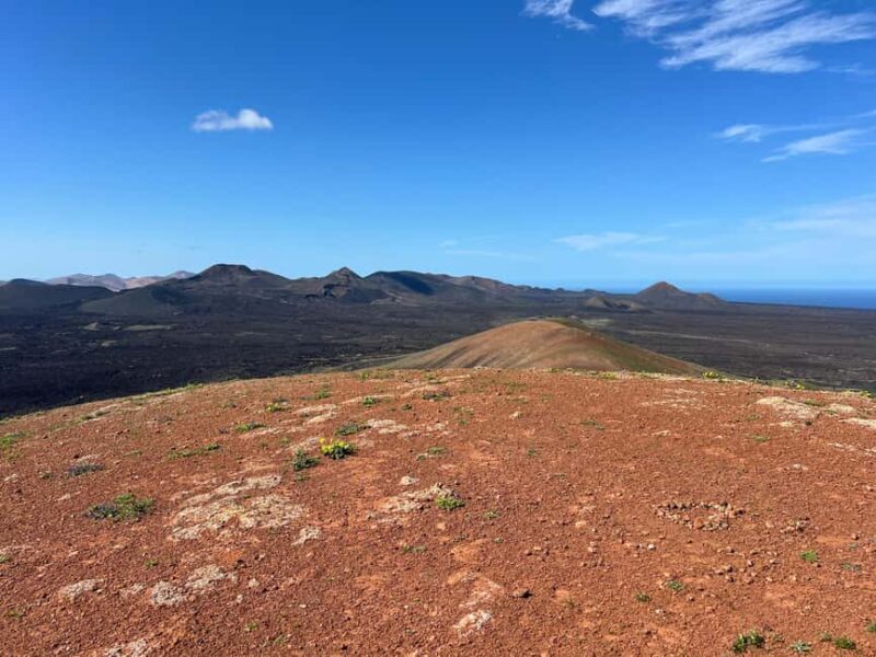 Lanzarote: Guided Hike discover volcano history and culture - What Reviewers Say