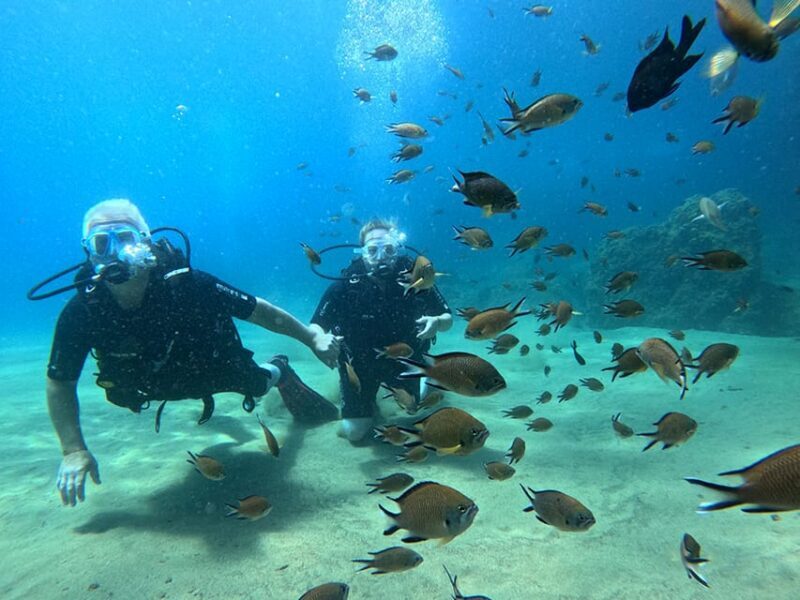 Lanzarote: Intro to Diving Experience for Beginners - The Value and Practicalities