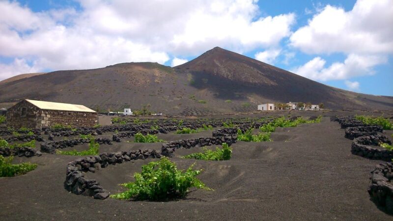 Lanzarote: La Geria Vineyards Hiking Tour - Discovering Lanzarote’s Volcanic Vineyard Landscape