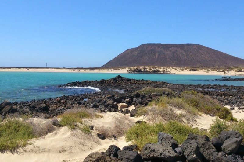 Lanzarote: Lobos Island Half-Day Dolphin Watching Trip - Frequently Asked Questions  