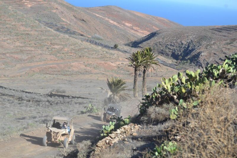Lanzarote: Mix tour Guided Buggy Volcano Tour 4 or 6 seater - FAQ