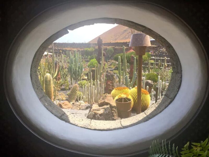 Lanzarote North Premium: Cueva Verdes, Jameos Agua, Mirador, and Cactus Garden - Exploring Lanzarote’s North: What’s Included and What to Expect