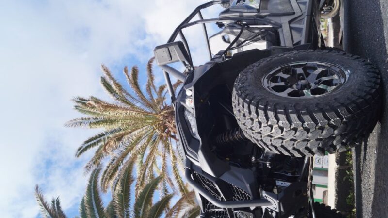 Lanzarote: On-Road Guided Buggy Volcano Tour - Final Thoughts