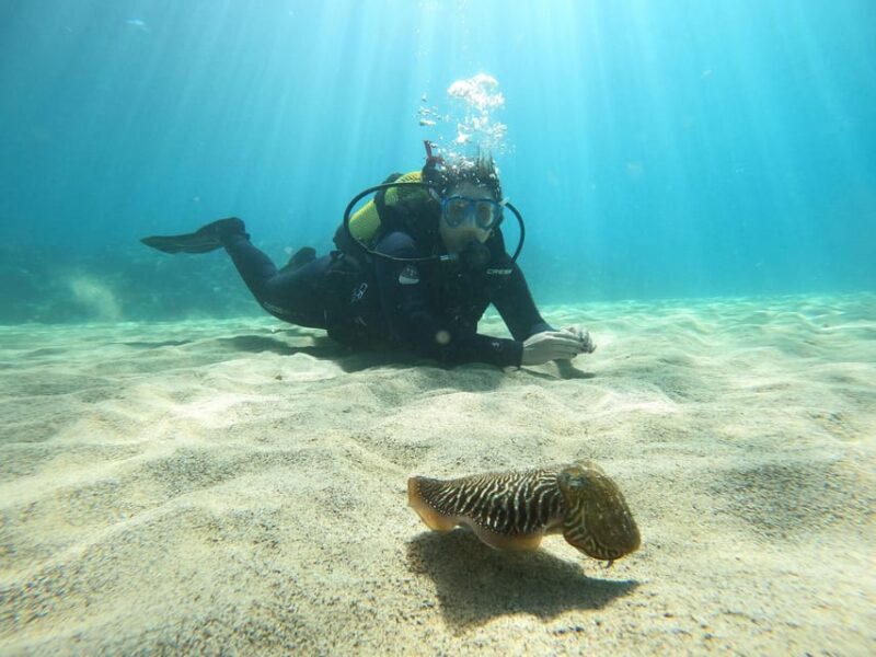 Lanzarote: Scuba Diving for Beginners with 2 Dives - FAQs