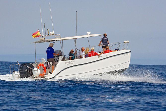 Lanzarote Sea Safari from Puerto calero - The Allure of the Coastline and the Wildlife