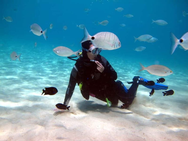 Lanzarote: Small-Group Discover Scuba Diving Costa Teguise - Who Is This Tour Best For?
