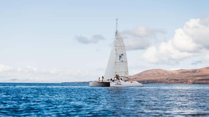 Lanzarote Sunset Experience with dolphin spotting - Key Points