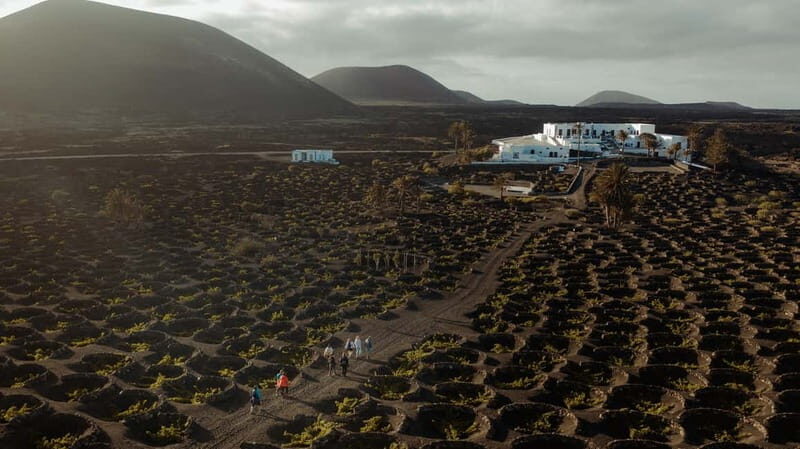 Lanzarote: Sunset vineyard tour with wine and chocolate tasting - The Sum Up