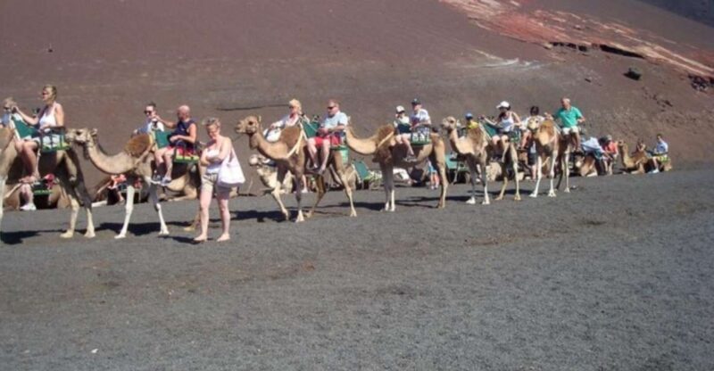 Lanzarote: Timanfaya National Park Tour - Exploring the Tour Itinerary in Detail