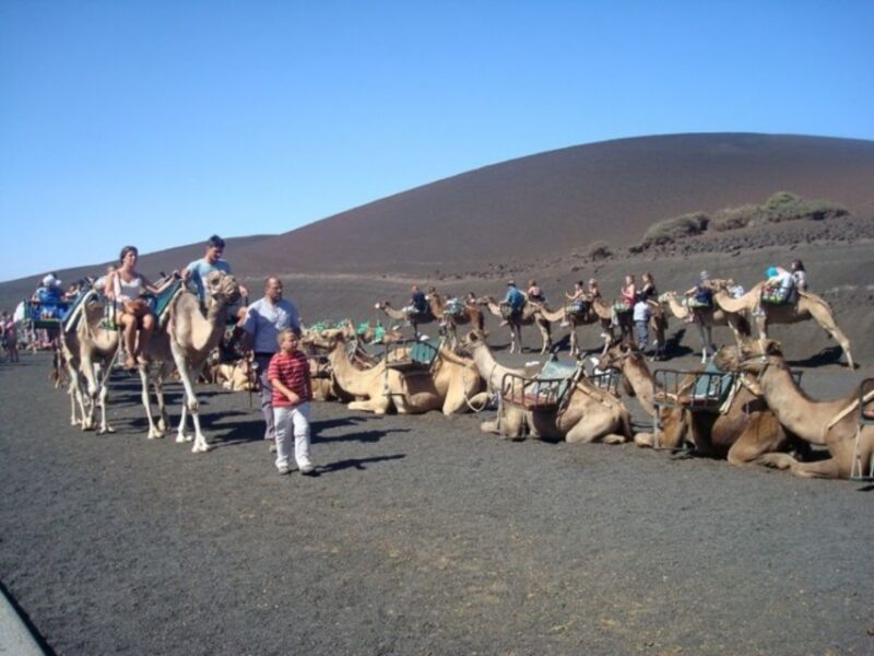 Lanzarote: Timanfaya National Park Tour - Frequently Asked Questions
