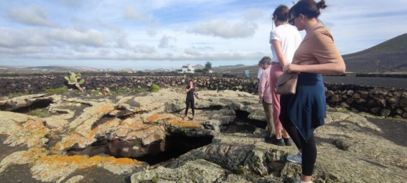 Lanzarote: Timanfaya Natural Park Trekking Tour - Who Would Love This Tour?