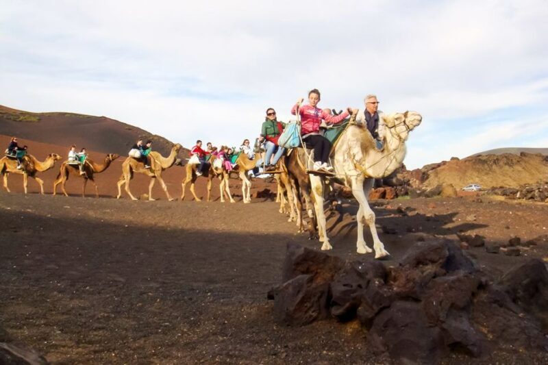 Lanzarote: Timanfaya Park and Jameos del Agua Full-Day Tour - Transportation and Group Experience