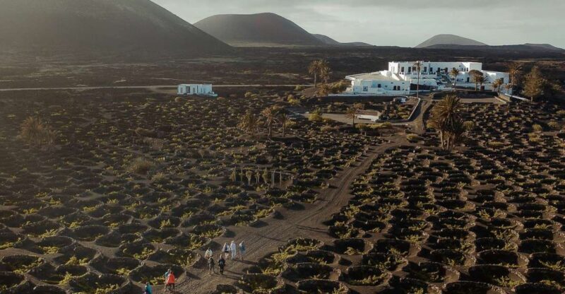 Lanzarote: Vineyard Tour with Wine and Chocolate Tasting - A Thorough Look at the Vineyard Tour Experience