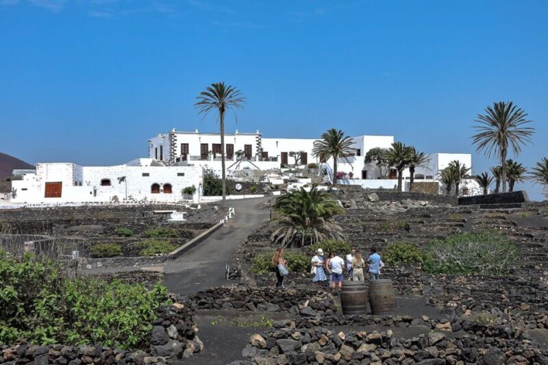 Lanzarote: Vineyard Tour with Wine and Chocolate Tasting - FAQ