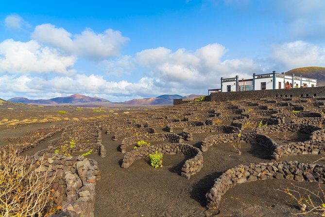 Lanzarote Volcano and Wine Region Tour from Fuerteventura - An Introduction to the Lanzarote Volcano and Wine Tour
