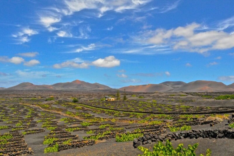 Lanzarote: Volcanos of Timanfaya and Caves Tour with Lunch - An Overview of Lanzarote’s Highlights