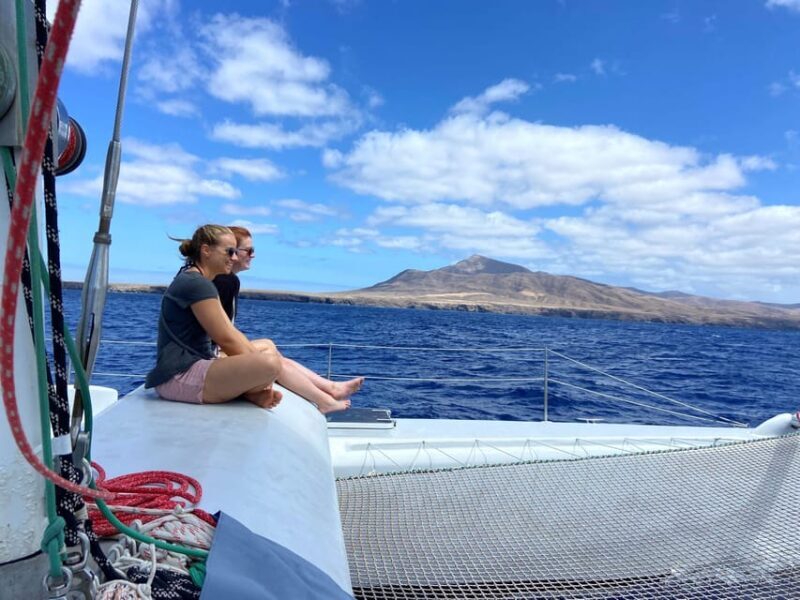 Lanzarote: Whale and Dolphin Watching Eco-Friendly Catamaran - The Sum Up