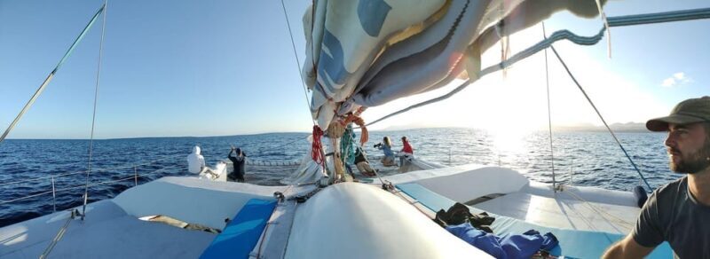 Lanzarote: Whale and Dolphin Watching Eco-Friendly Catamaran - Frequently Asked Questions