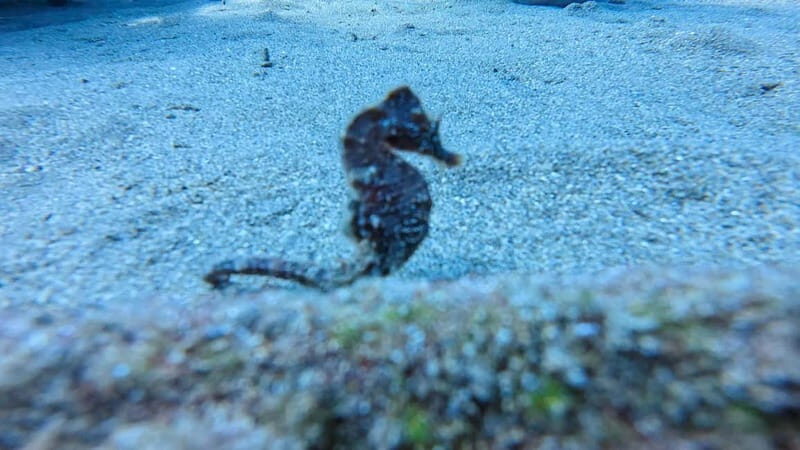 Lanzarote Your First Scuba Diving Experience - Setting the Scene: A Well-Structured Experience