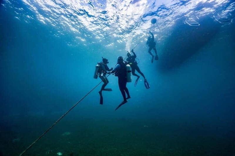 Lanzarote Your First Scuba Diving Experience - The Underwater Landscape and What You’ll See