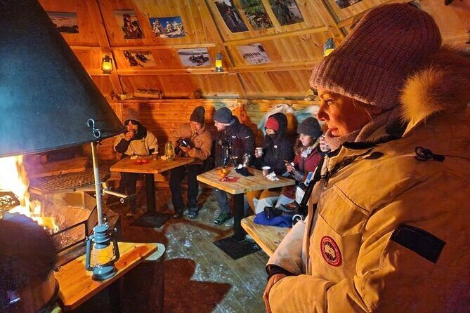 Lapland In A Day - Reindeer, Sledding, Snowmobile & Nature - An Overview of the Tour Experience