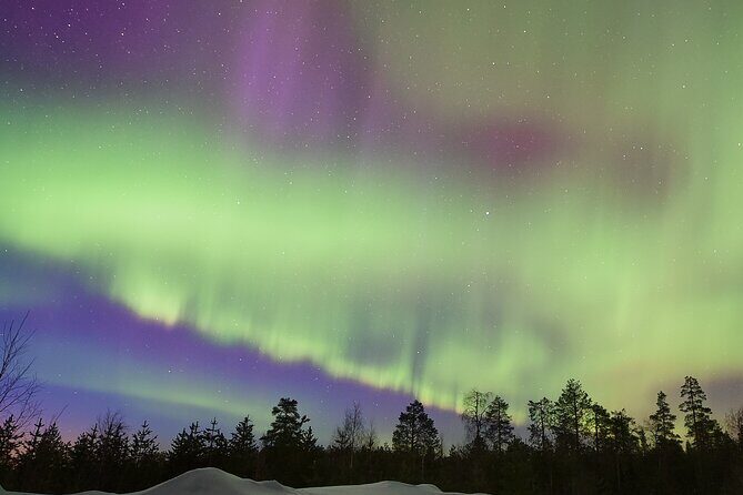 Lapland In A Day - Reindeer, Sledding, Snowmobile & Nature - Who Will Love This Experience?