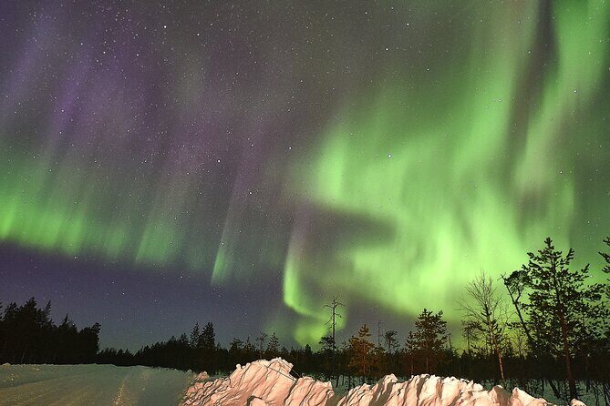 Lapland In A Day - Reindeer, Sledding, Snowmobile & Nature - The Sum Up