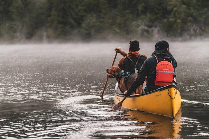 Lapland Kayak Adventure in Rovaniemi - The Sum Up