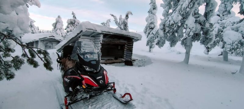 Lapland: Private Snowmobile Safari with arctic Local Guide - Key Points