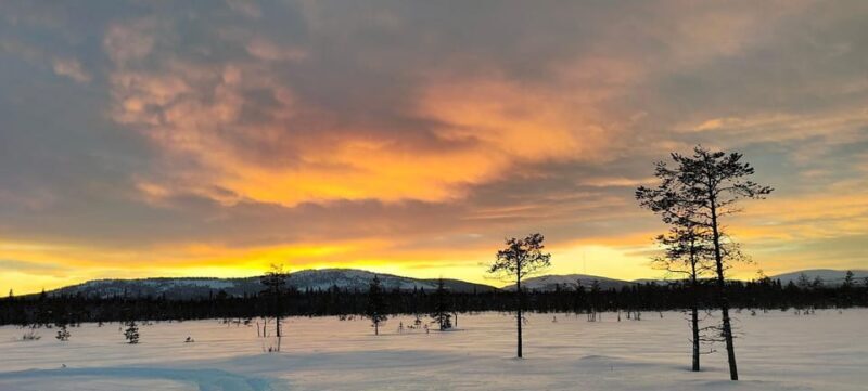 Lapland: Private Snowmobile Safari with arctic Local Guide - Final Thoughts: Is It Worth It?
