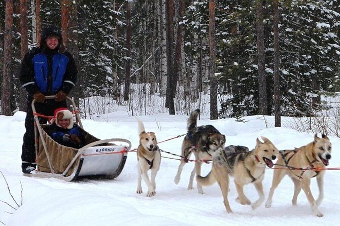 Lapland Reindeer and Husky Safari from Levi - The Scenery and Cultural Flavor
