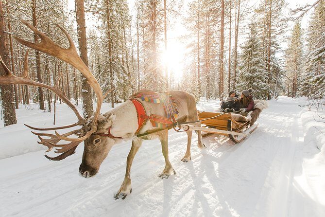 Lapland Reindeer and Husky Safari from Rovaniemi - Key Points