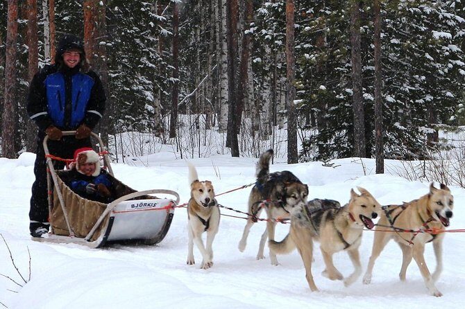 Lapland Reindeer and Husky Safari from Rovaniemi - Final Thoughts