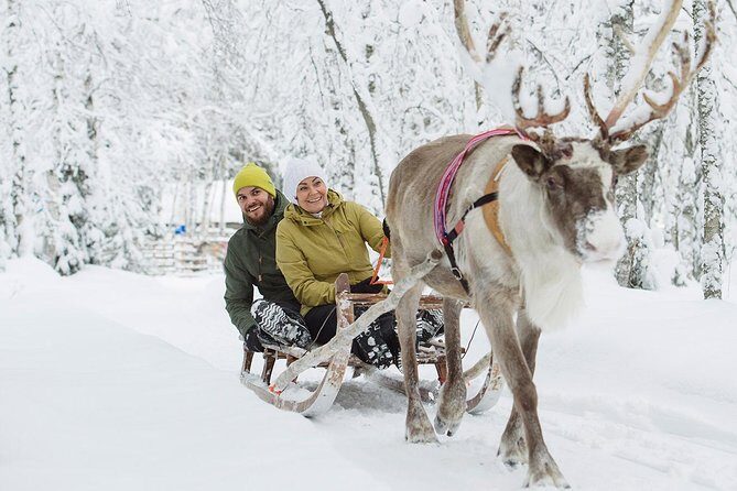 Lapland Reindeer Safari from Rovaniemi - An In-Depth Look at the Reindeer Safari Experience