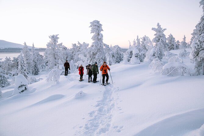 Lapland Winter Experience - Detailed Review of the Lapland Winter Experience