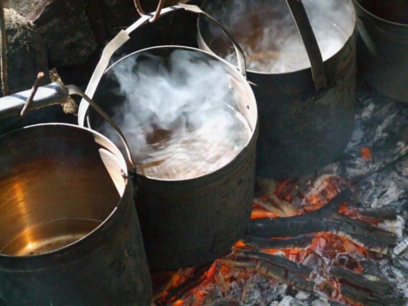 LARC! Paradise Tour: Beach, Lunch and Sandboarding - Final Thoughts