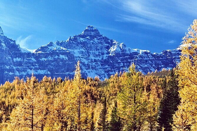 Larch Valley/Moraine Lake Shuttle Transfer from Banff and Canmore - Key Points