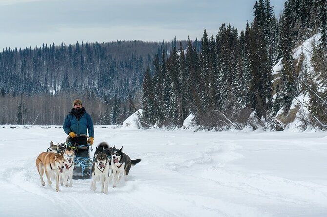 Large Groups for Mushing Activity - Key Points
