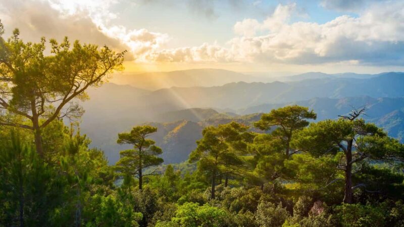 LARNACA/AYIA NAPA/PROTARAS: Nicosia & Troodos Mountains - Key Points