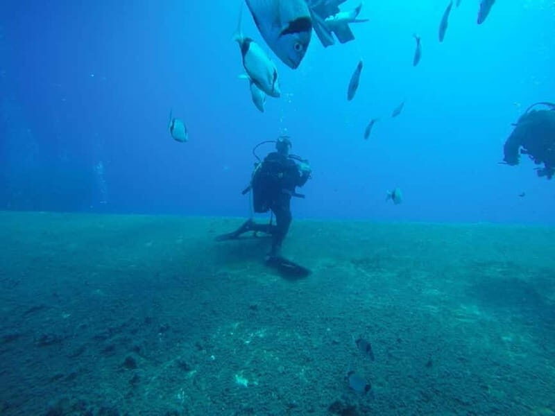 Larnaca: Private Zenobia Beginners Divers - Who Is This Tour Best For?