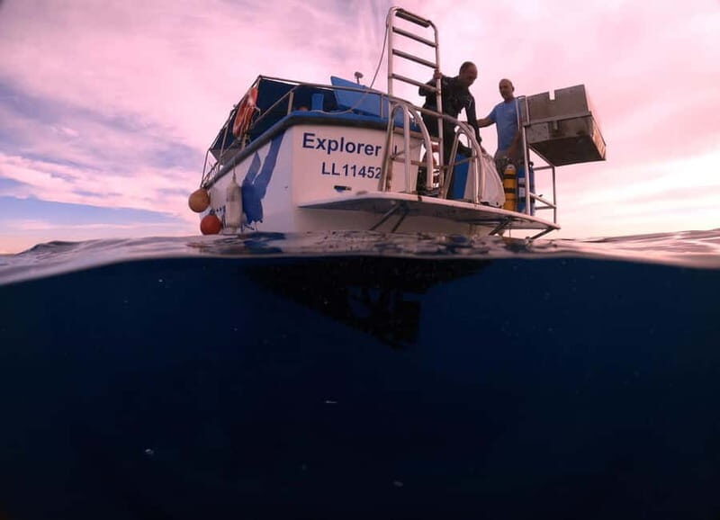 Larnaca: Snorkelling Zenobia Wreck Plus Mini Cruise - An Introduction to the Tour: What’s in Store