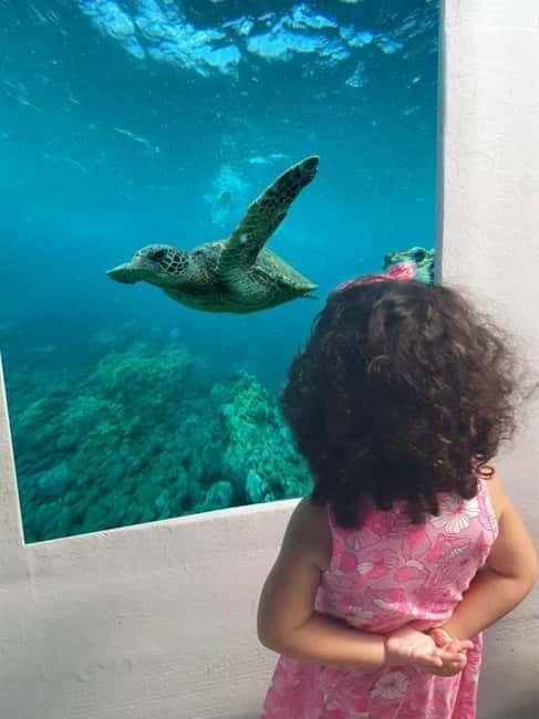 Larnaca: Yellow Submarine Mini Cruise with a Swim Stop - Why This Tour Stands Out