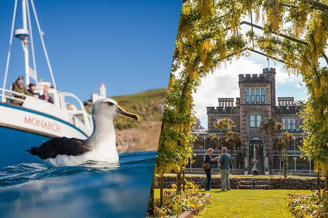 Larnach Castle & Otago Wildlife Cruise from Dunedin - An In-Depth Look at the Tour
