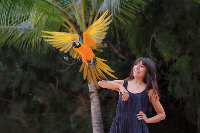 Las Caletas The Best Kept Secret of Puerto Vallarta - Why This Tour Offers Great Value