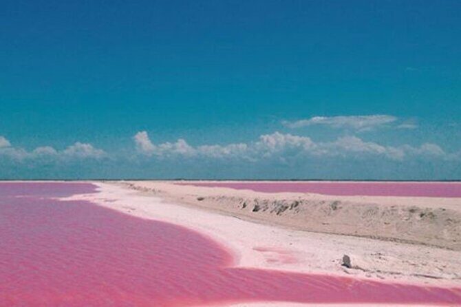 Las Coloradas Amazing Pink Lake & Rio Lagartos from Tulum - A Deep Dive into the Experience